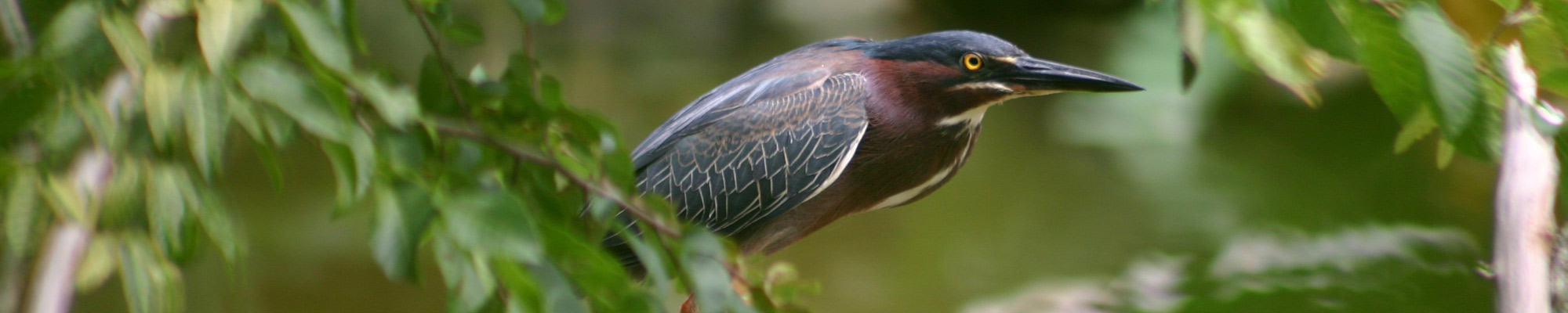 San Jacinto River Authority