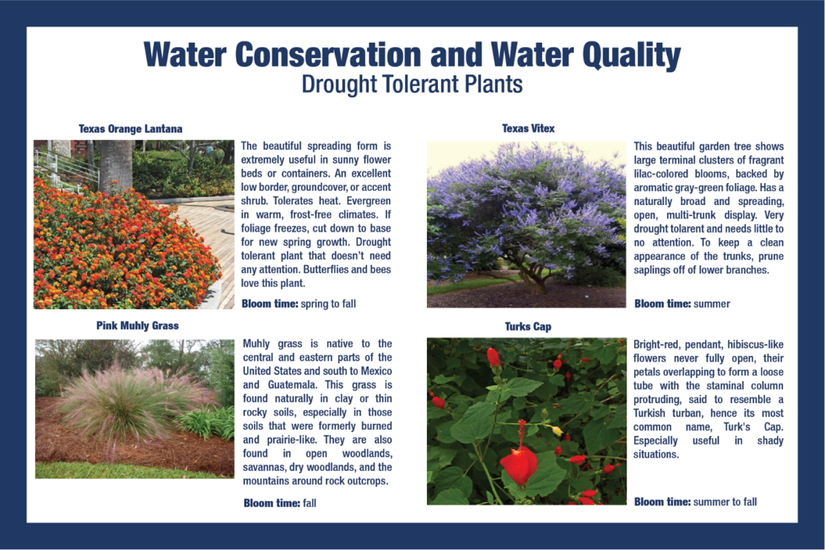 Using Water Wisley - Conservation and Winterization - San Jacinto River ...